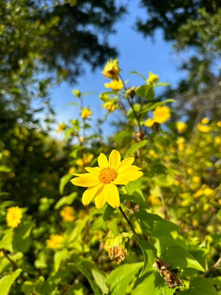 Solstice Canyon, California | Relive