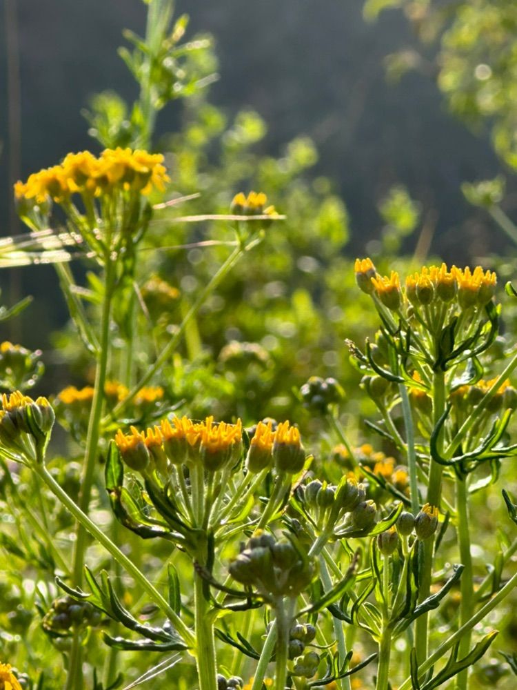 Solstice Canyon, California | Relive