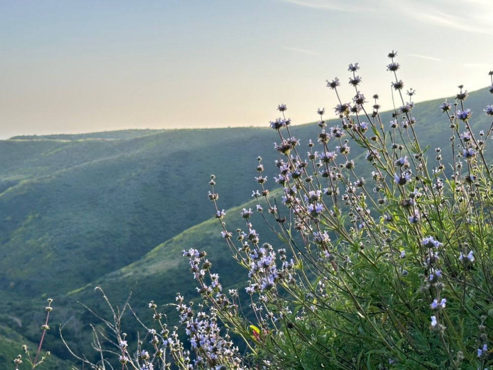 Solstice Canyon, California | Relive