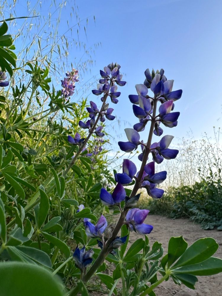 Solstice Canyon, California | Relive