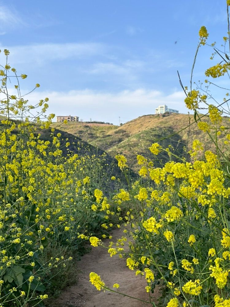 Solstice Canyon, California | Relive