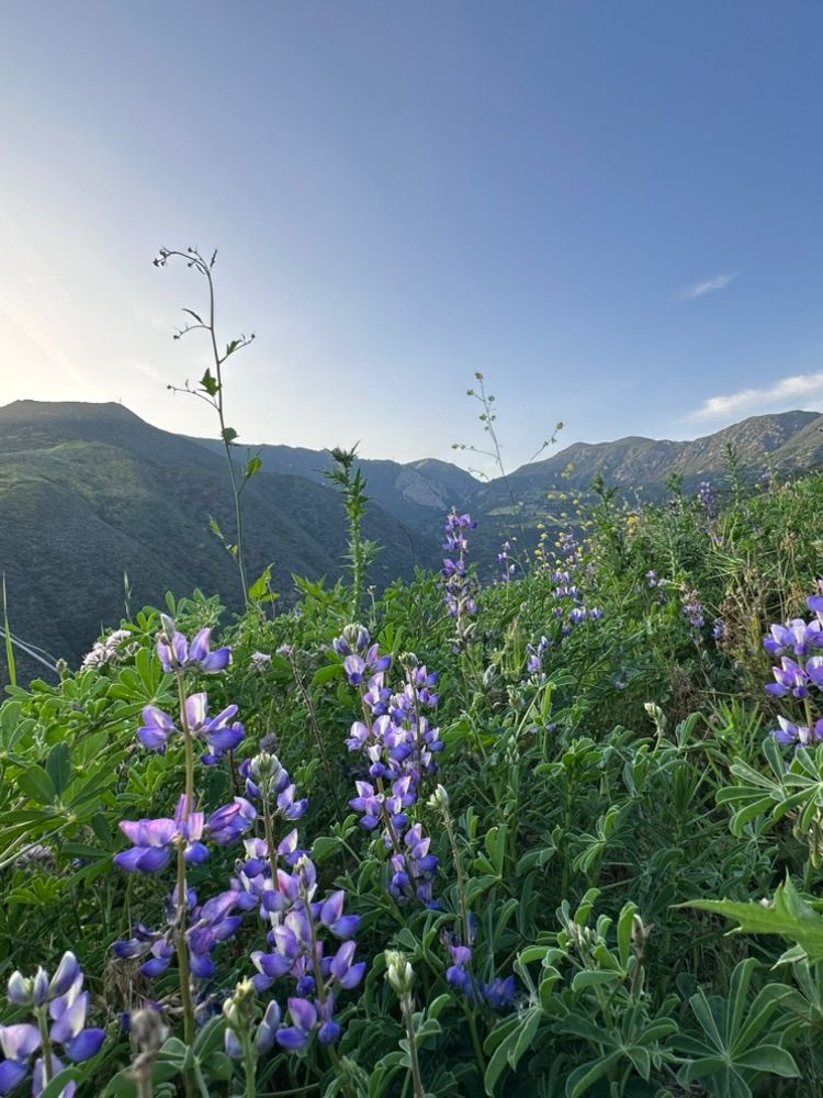 Solstice Canyon, California | Relive